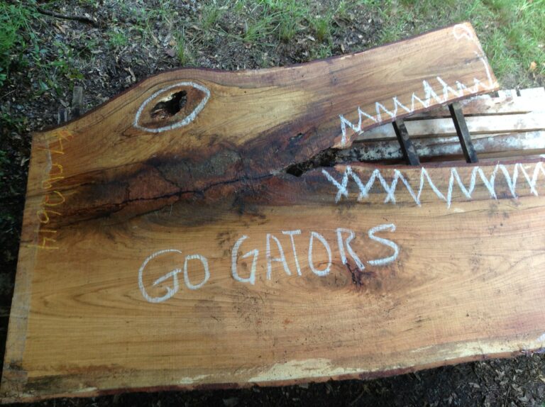 The Gator Table – Florida Crotchwood