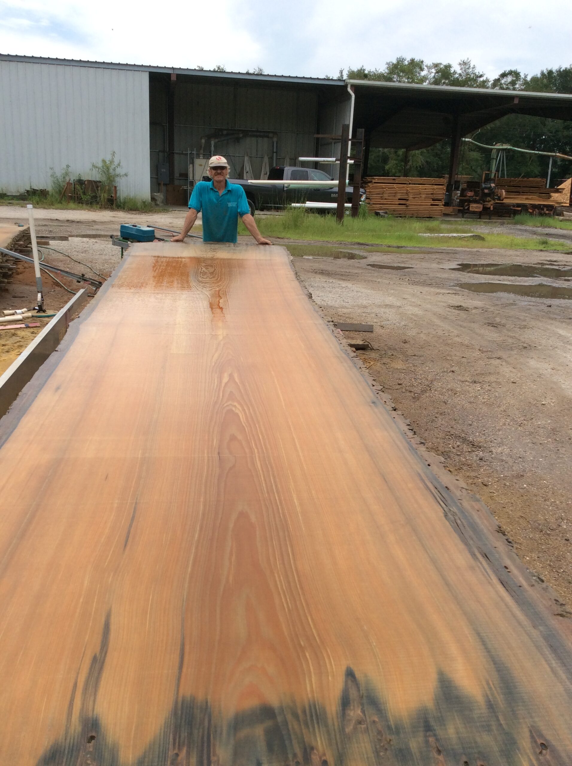 Old Growth River Recovered Cypress Slabs – Florida Crotchwood